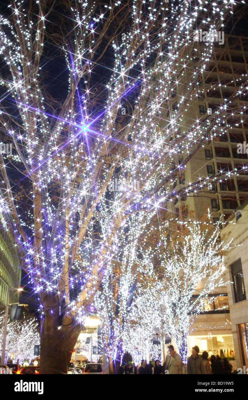 Illuminated trees lens flare long exposure Stock Photo - Alamy