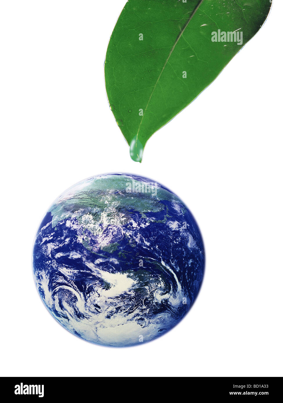 The earth and green leaf computer graphic white background Stock Photo ...