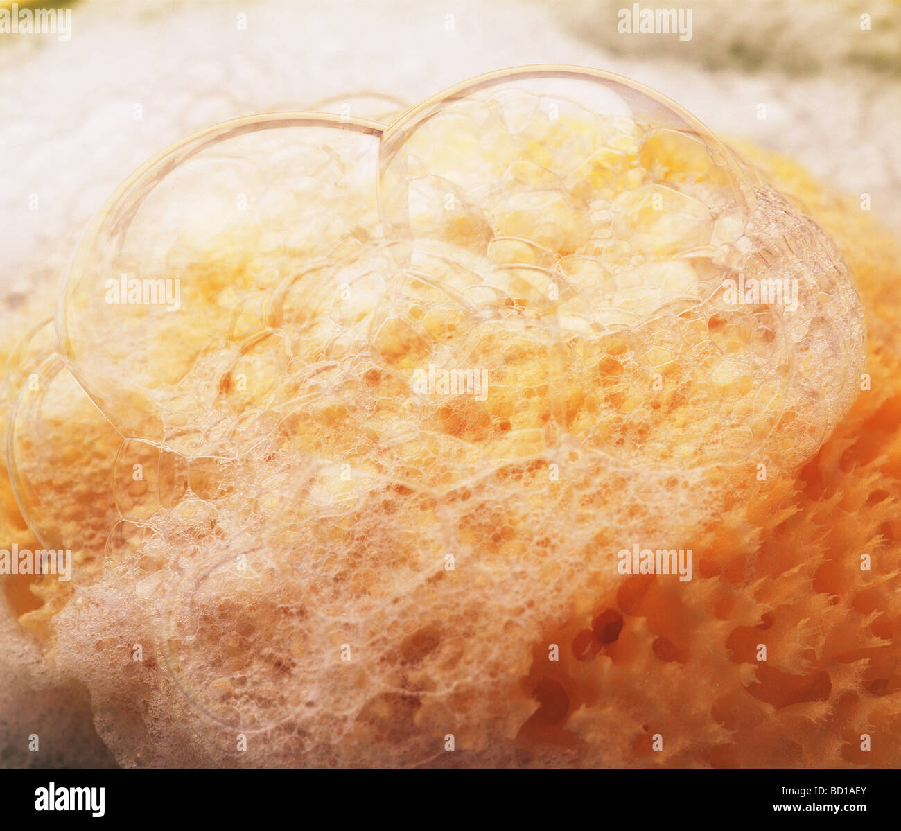 Soap bubbles on sponge close up Stock Photo - Alamy