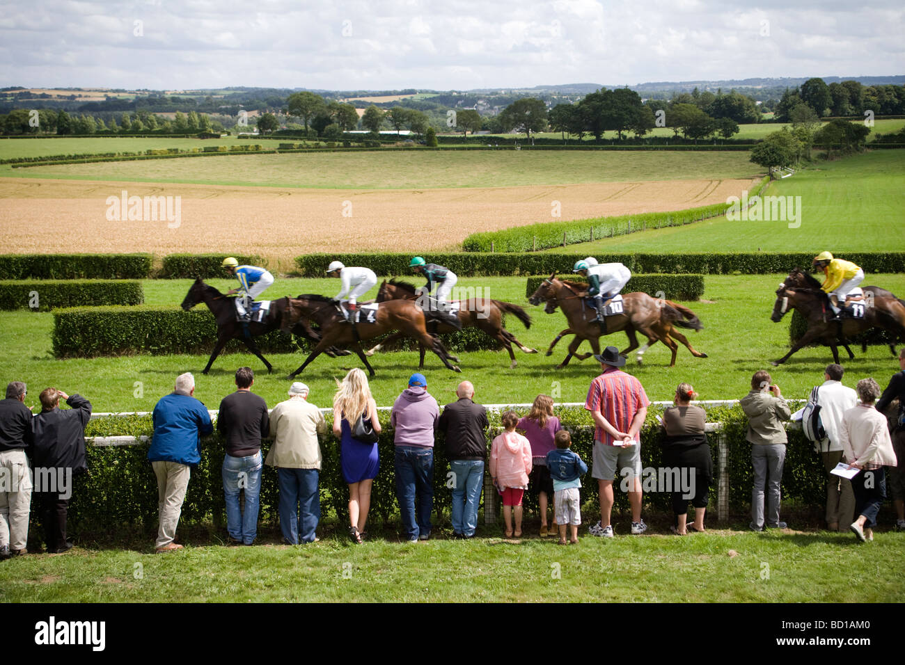 Brittany horse hi-res stock photography and images - Alamy