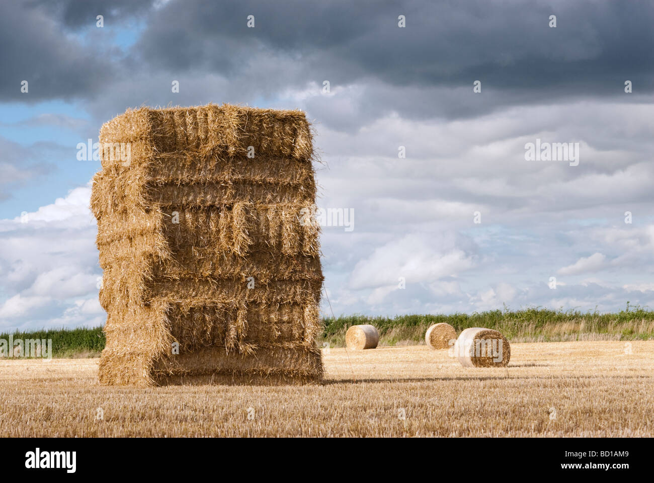 Large stack of rectangular straw bales in a field with cyclindrical ...
