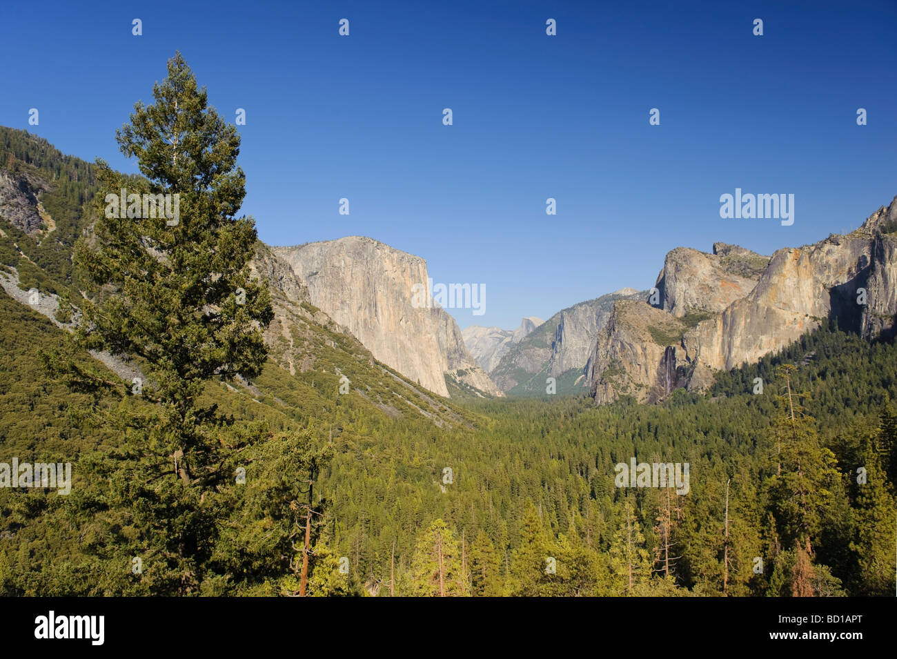 USA California Yosemite National Park Yosemite Valley Tunnel View Stock ...