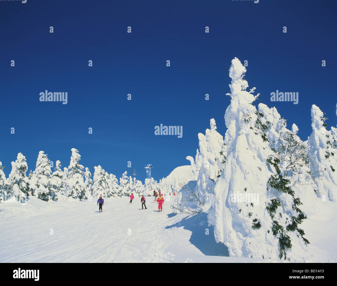 People skiing in mountain Yamagata city Yamagata prefecture Japan Stock ...