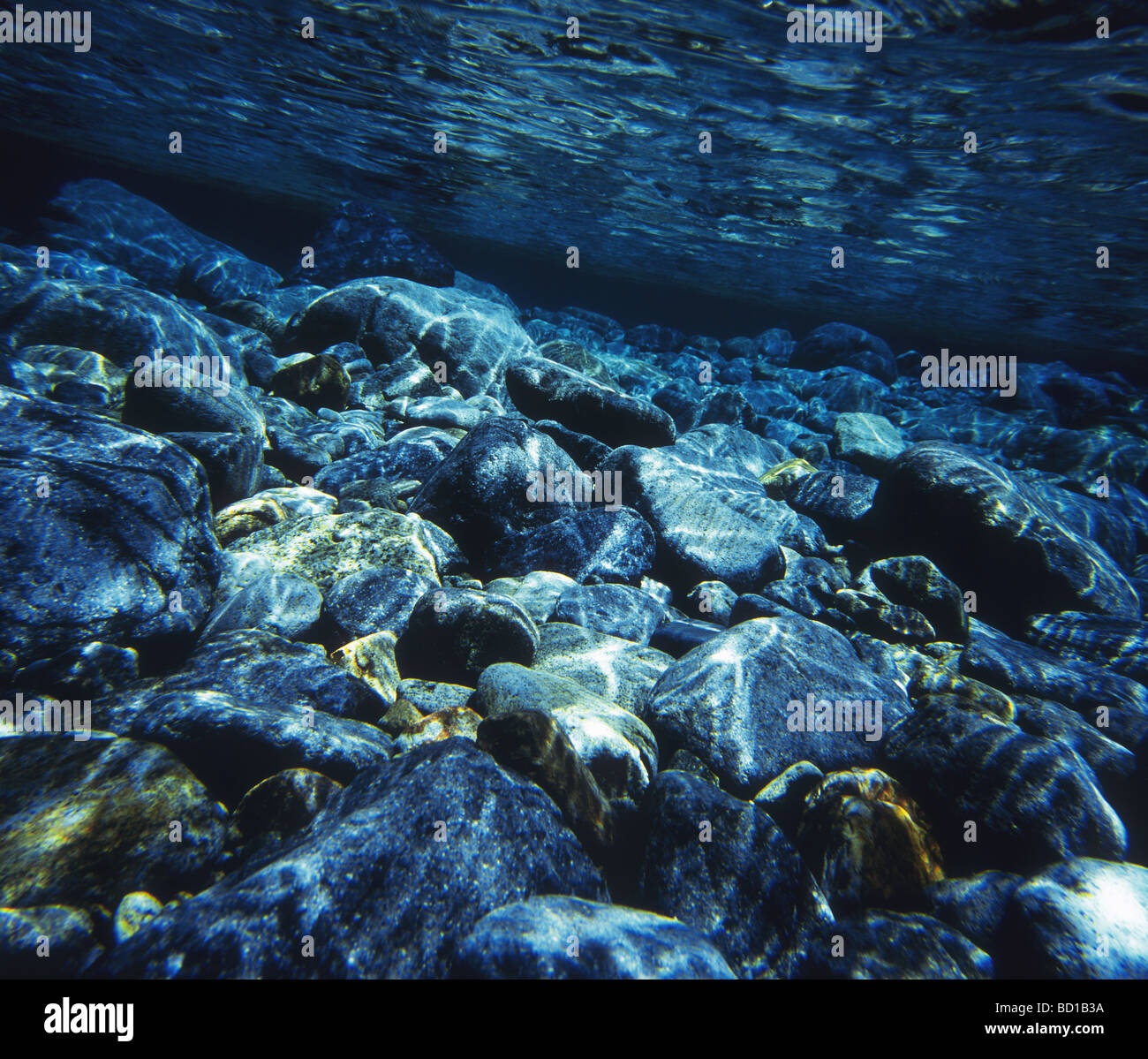 Stones in clear river Stock Photo - Alamy