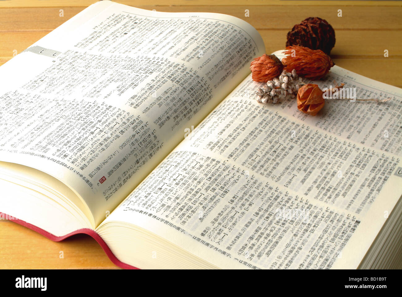 Opened dictionary close up Stock Photo - Alamy