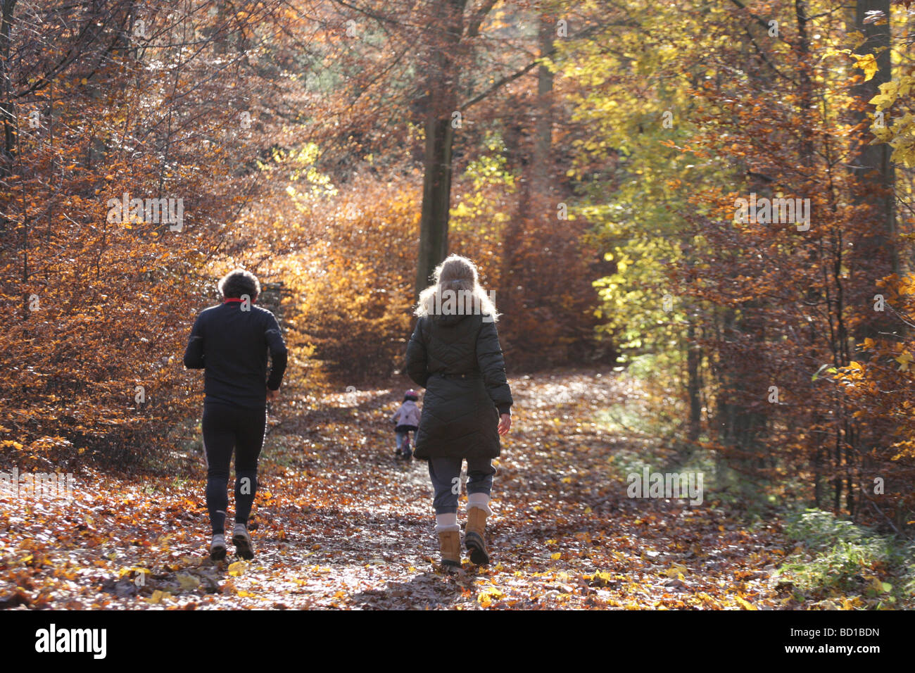 People in a forest in denmark Stock Photo - Alamy