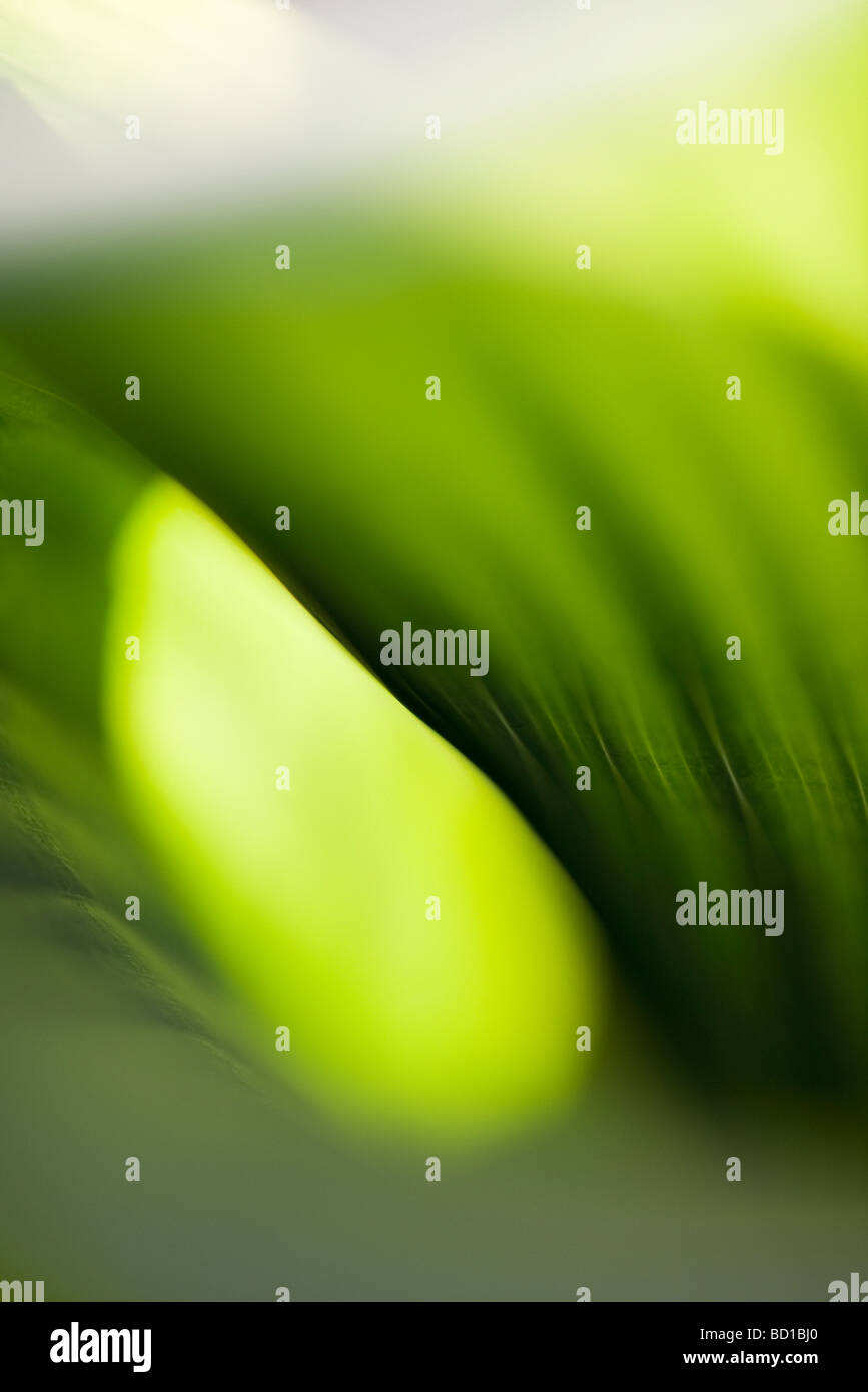 Macro abstract shot hi-res stock photography and images - Alamy