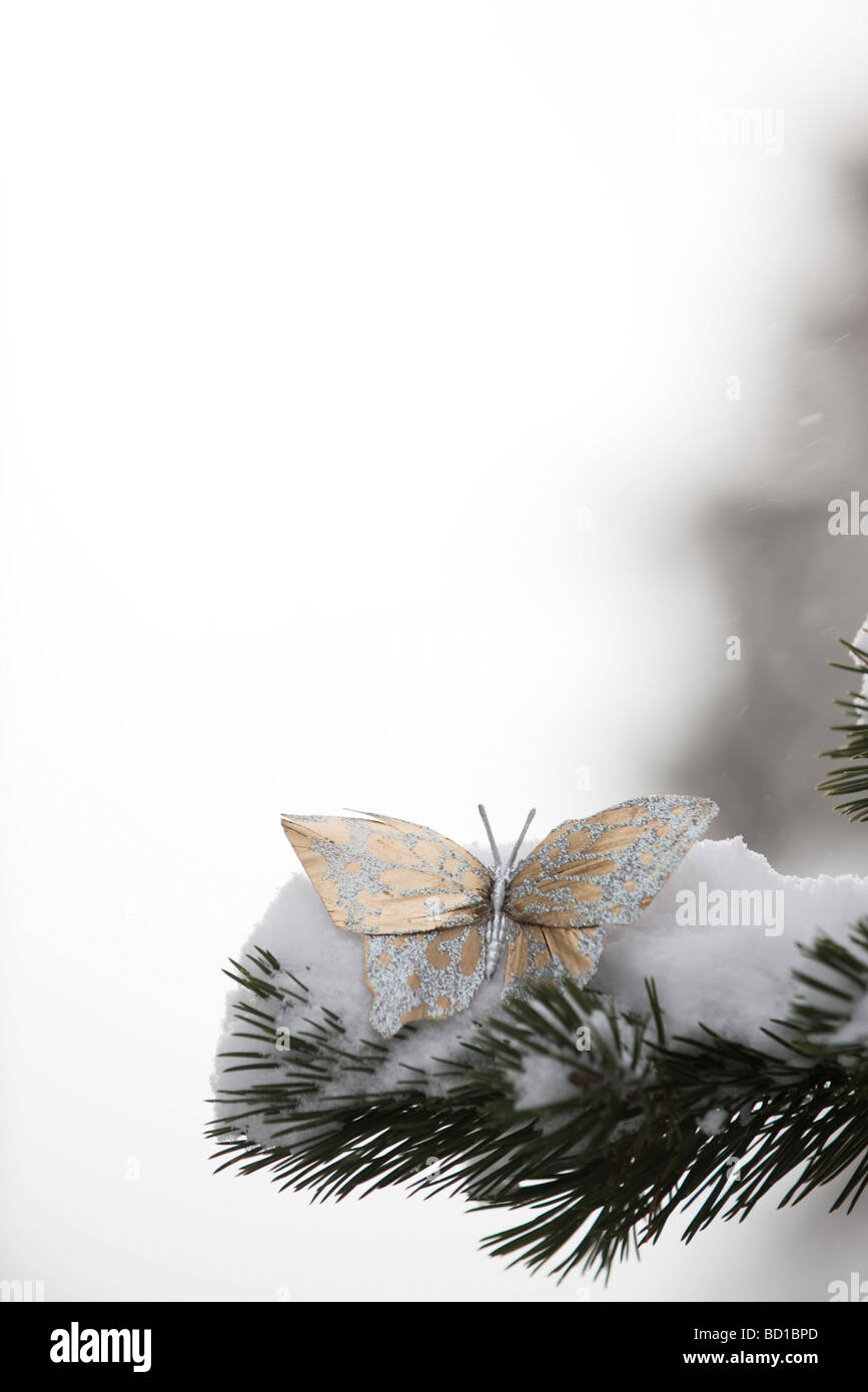 Snow butterfly hi-res stock photography and images - Alamy