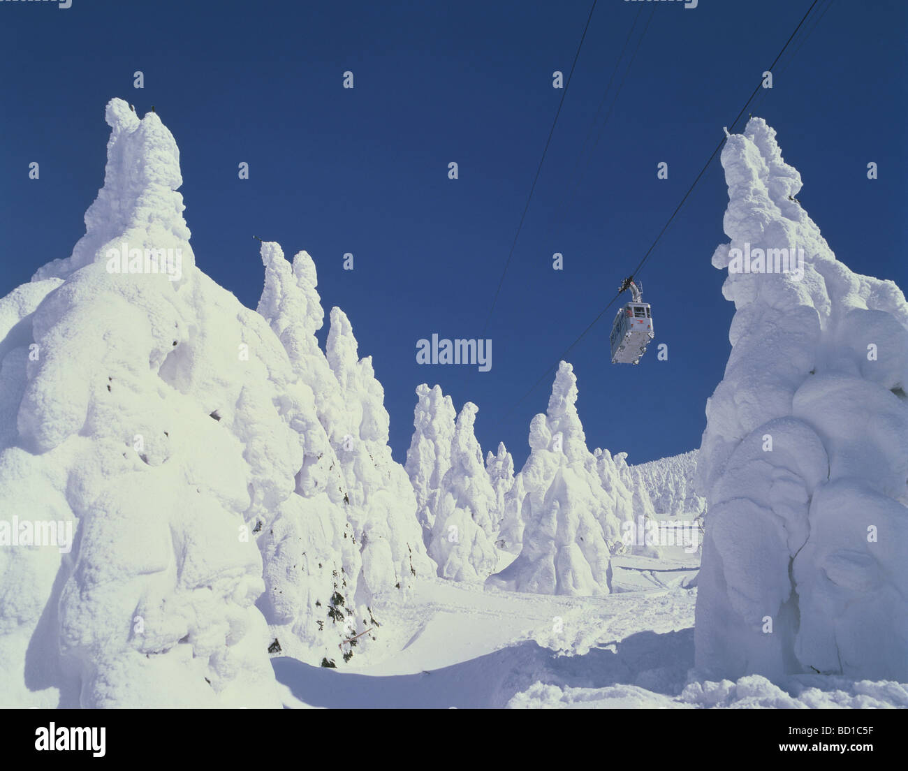 Yamagata frozen forest hi-res stock photography and images - Alamy