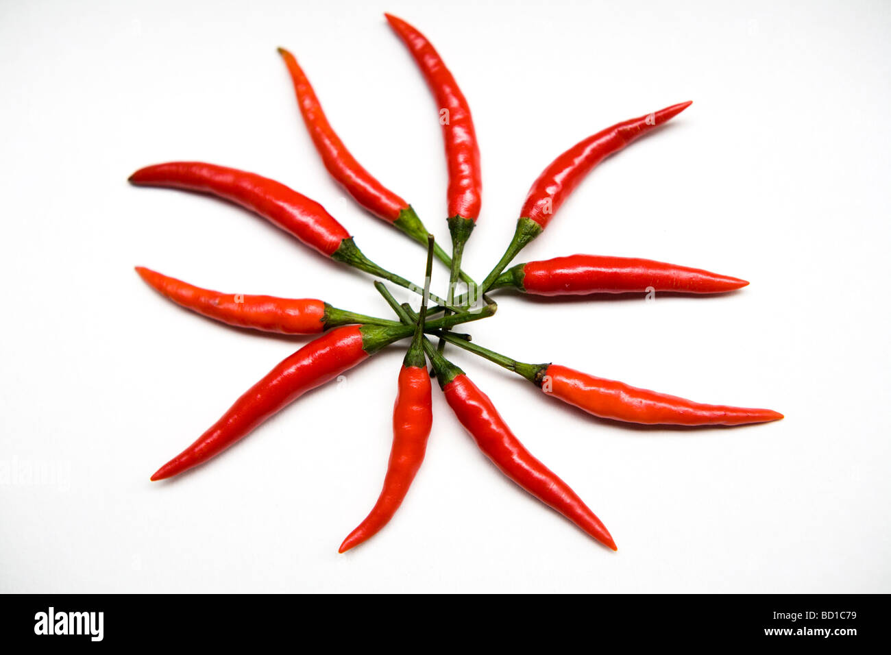 Red chili peppers Stock Photo - Alamy