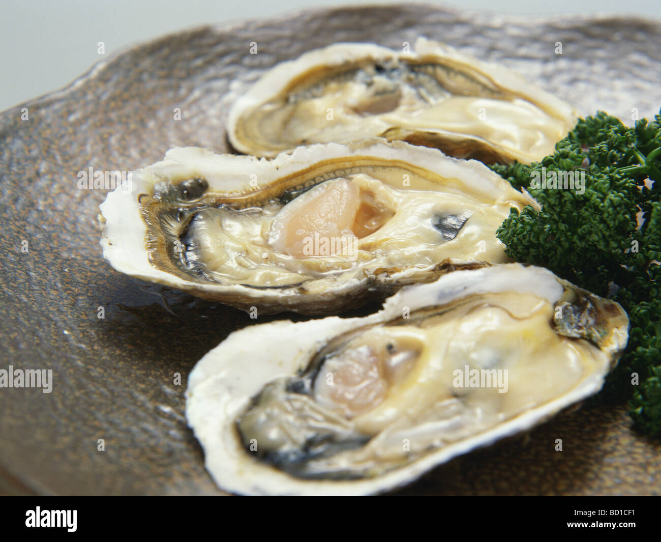 Three oyster shells hi-res stock photography and images - Alamy