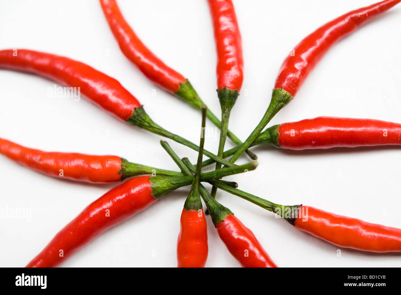 Red chili peppers Stock Photo - Alamy