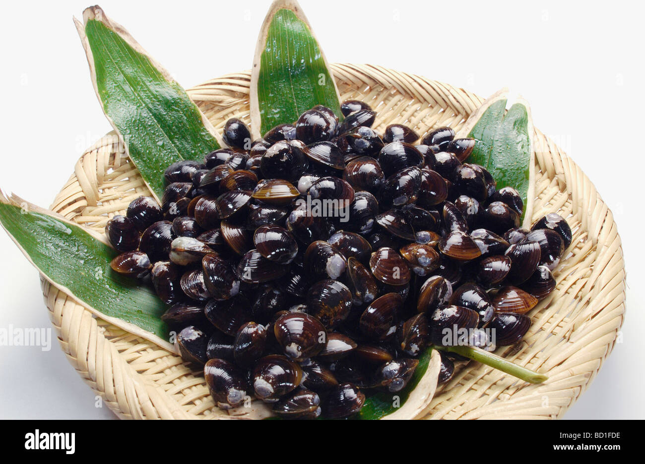 Stack of clams in colander white background Stock Photo - Alamy