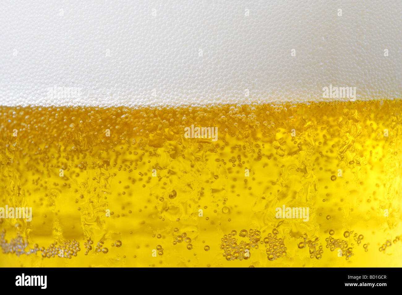 Glass of beer close up Stock Photo - Alamy