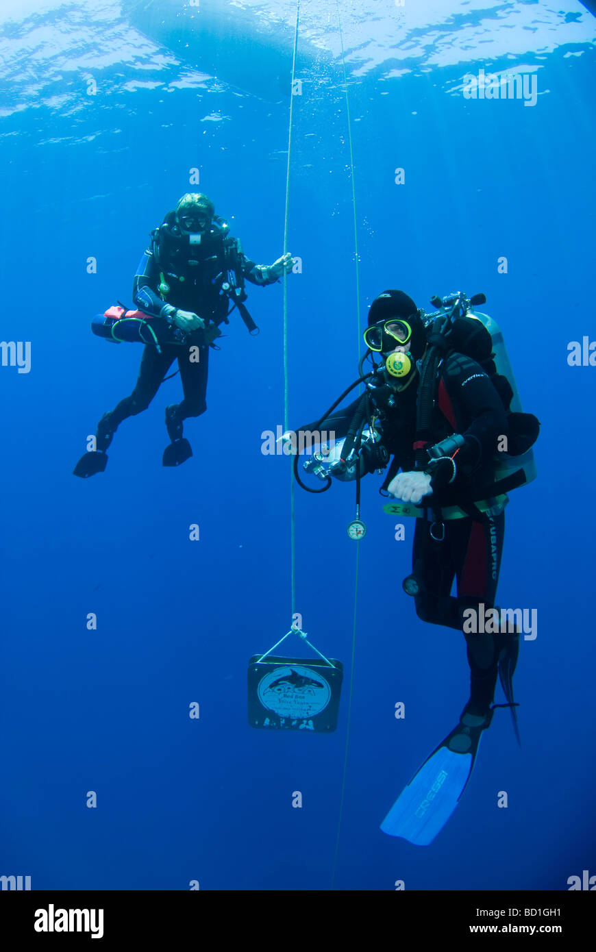 Scuba divers ascending from depth. Egypt Stock Photo - Alamy