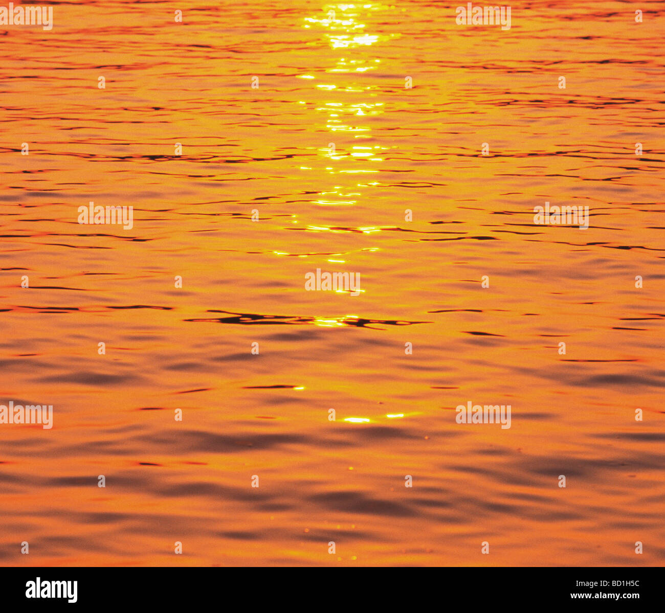 Golden sunlight reflection on rippled water full frame Stock Photo - Alamy