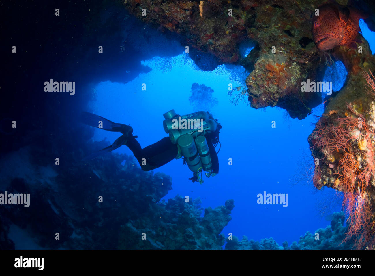 Technical divers swimming off the cave in Red Sea. Safaga, Red Sea ...