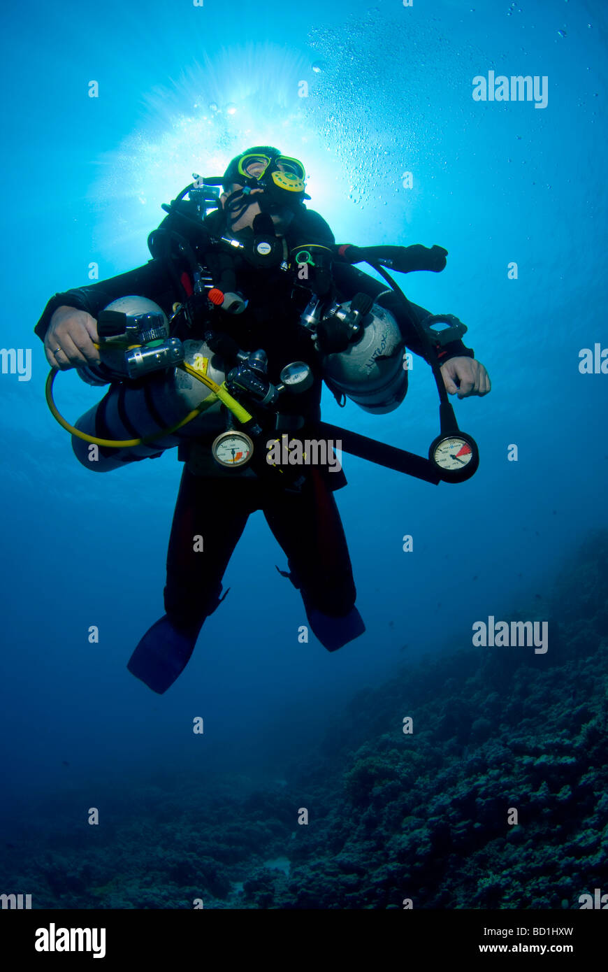 Deep diver in Red Sea Stock Photo - Alamy