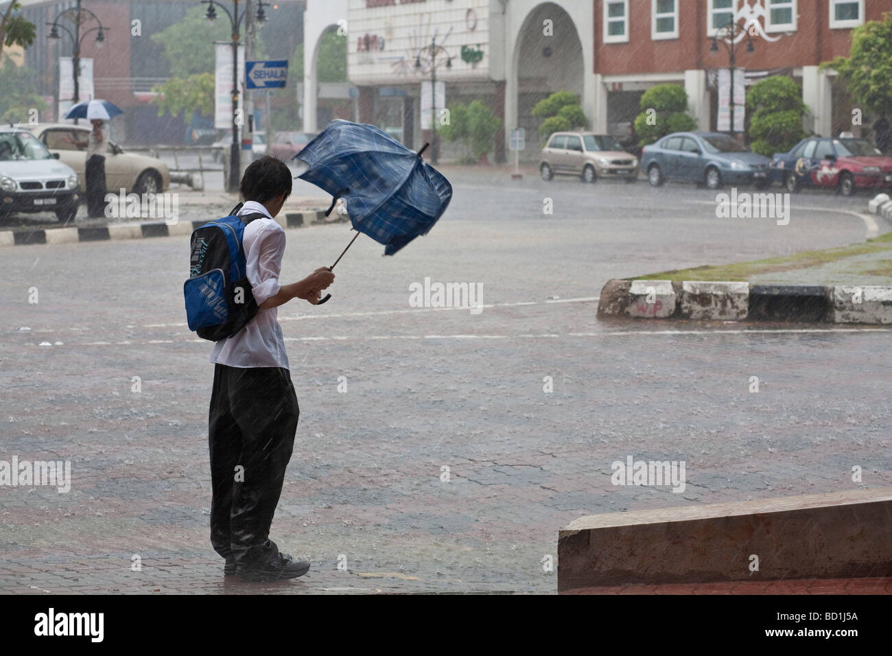 Person with umbrella in Monsoon rain Stock Photo - Alamy