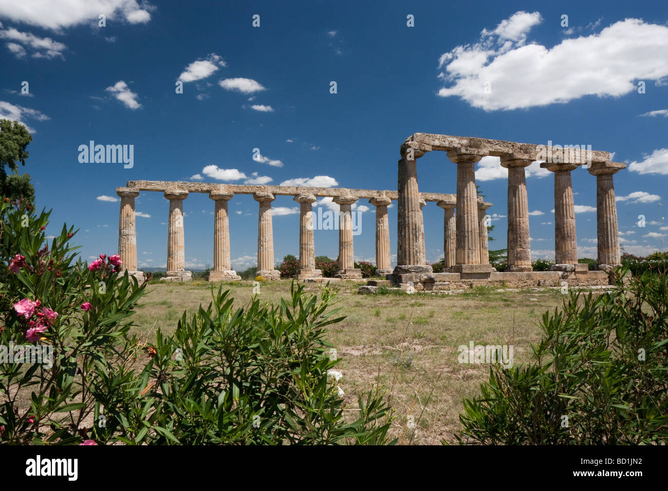 Metaponto ancient hi-res stock photography and images - Alamy