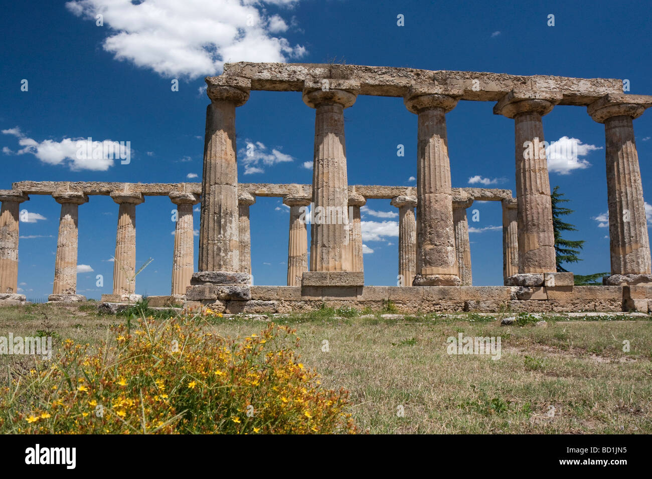 The "Tavole Palatine" at Metaponto, Italy, viewed from the south Stock ...