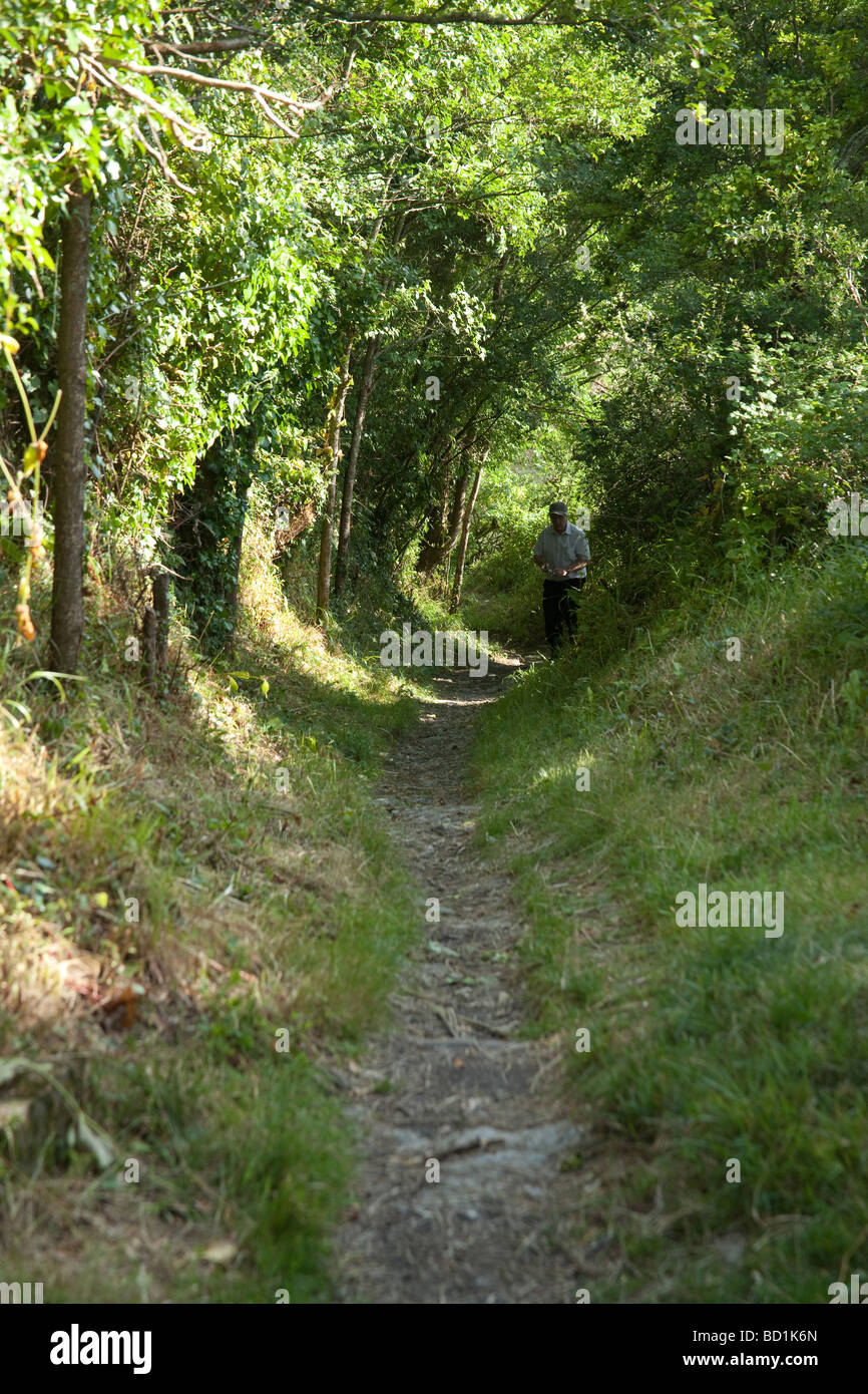 overgrown path near St Just church Cornwall England Stock Photo - Alamy