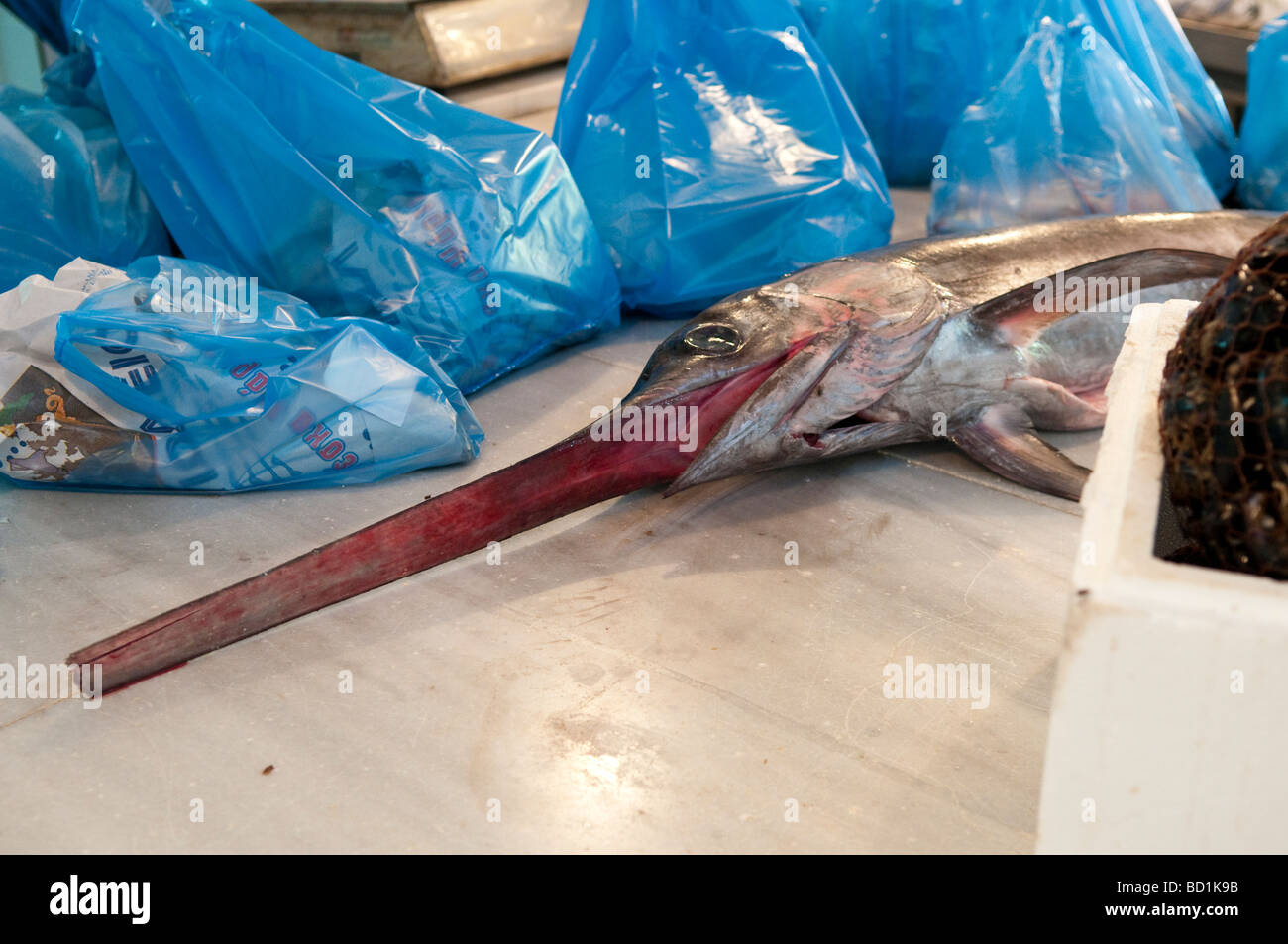Swordfish in fishmongers shop at the indoor market in Chania, Crete ...
