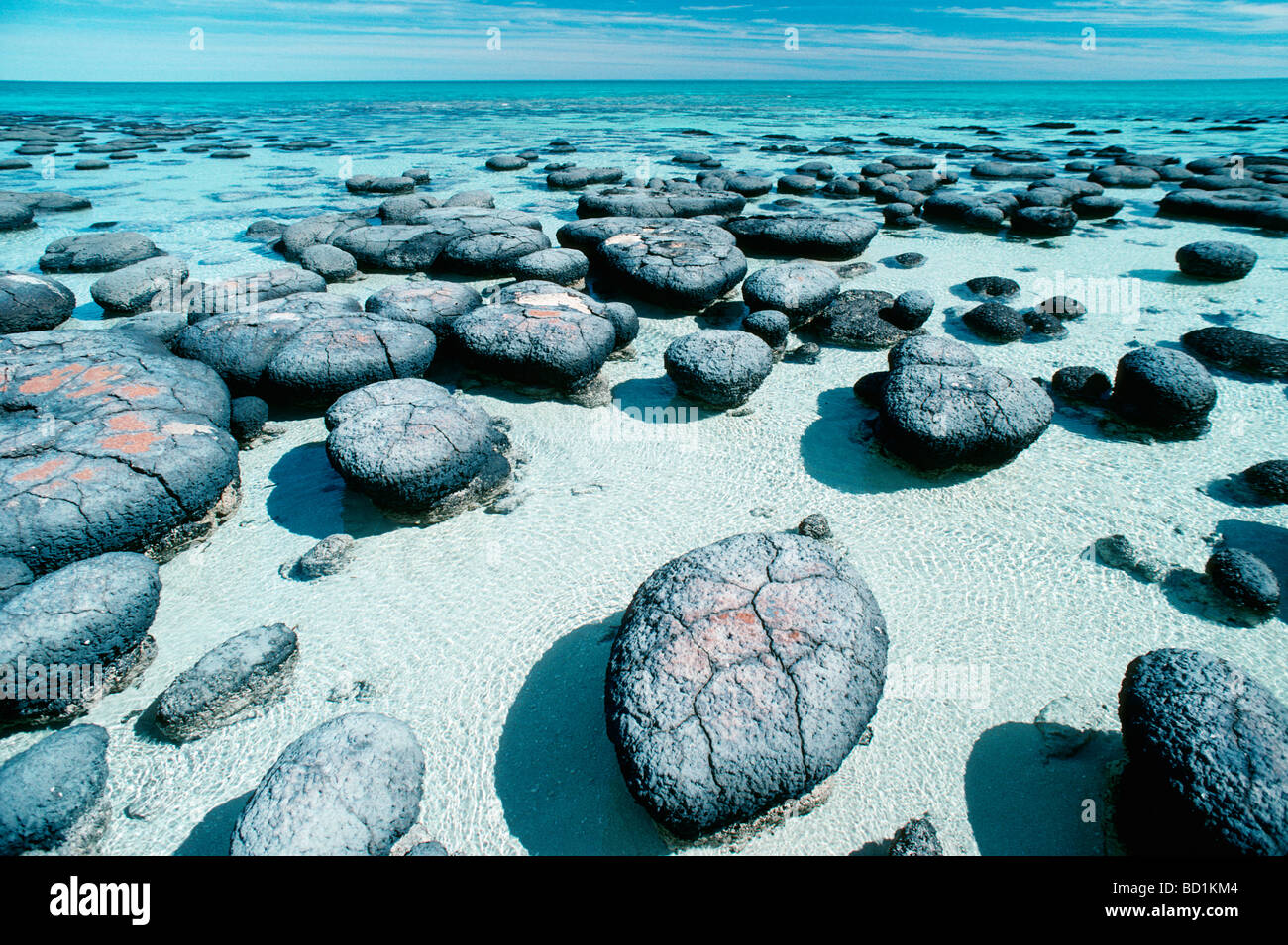 Stromatolites. Hamelin Pool Marine Nature Reserve, Shark Bay, Western ...