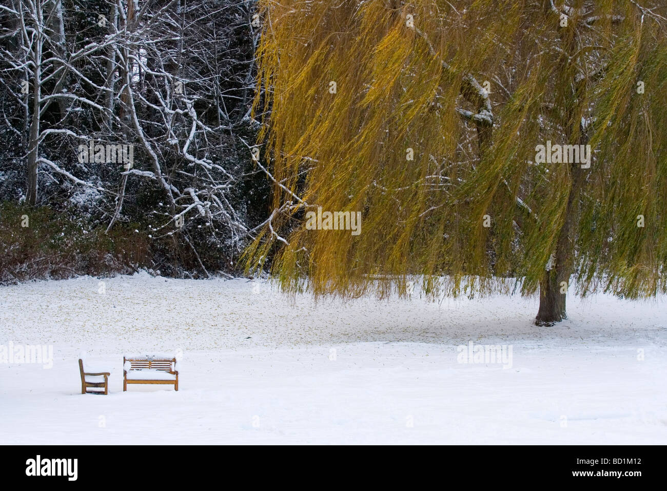 Winter in Victoria Stock Photo - Alamy