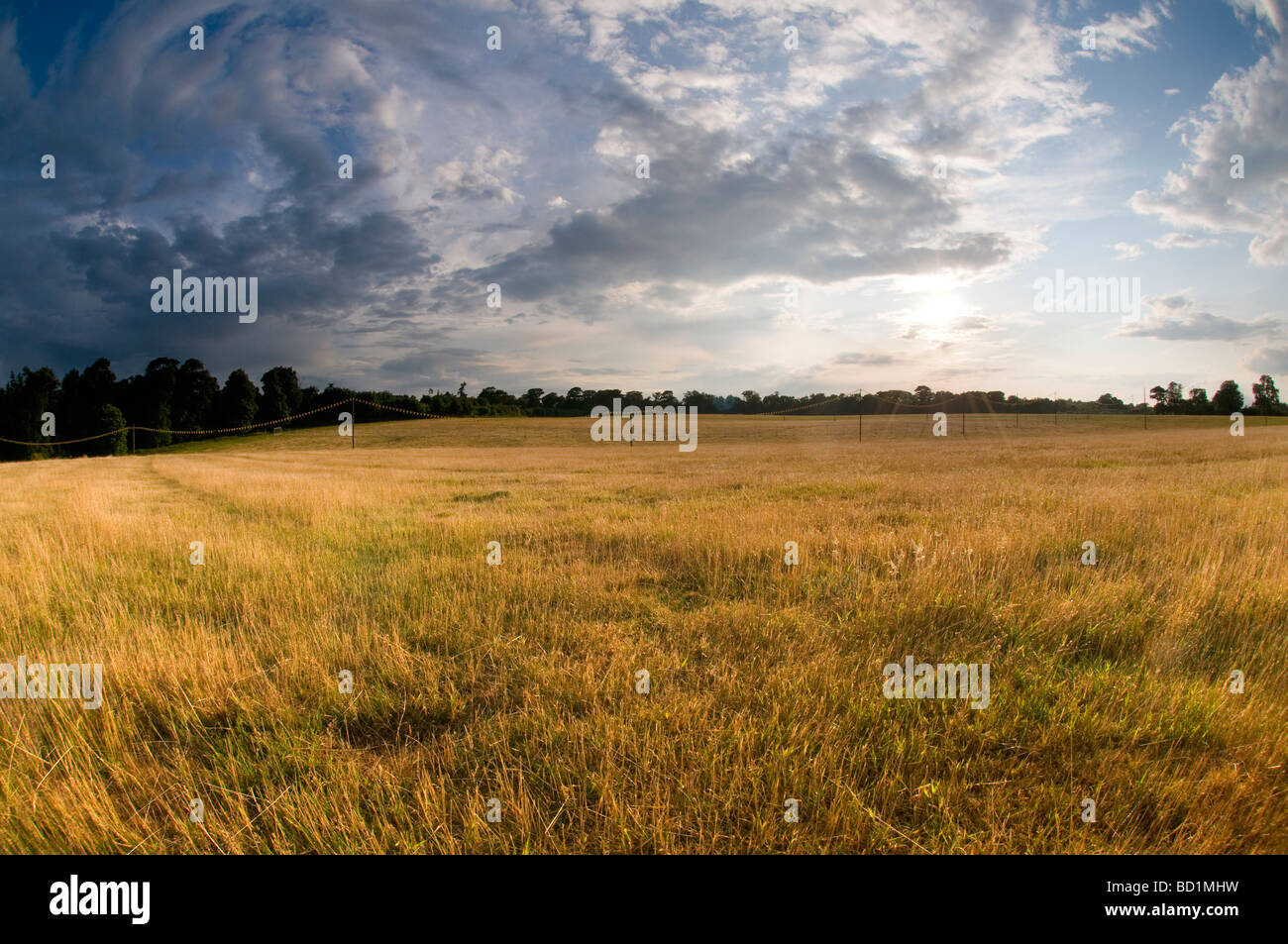 Empty Fields Before People Set Up Camp Latitude Music Festival, UK ...