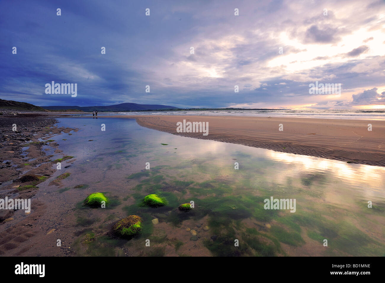 evening light illuminates beach and shoreline at Strandhill Co Sligo ...