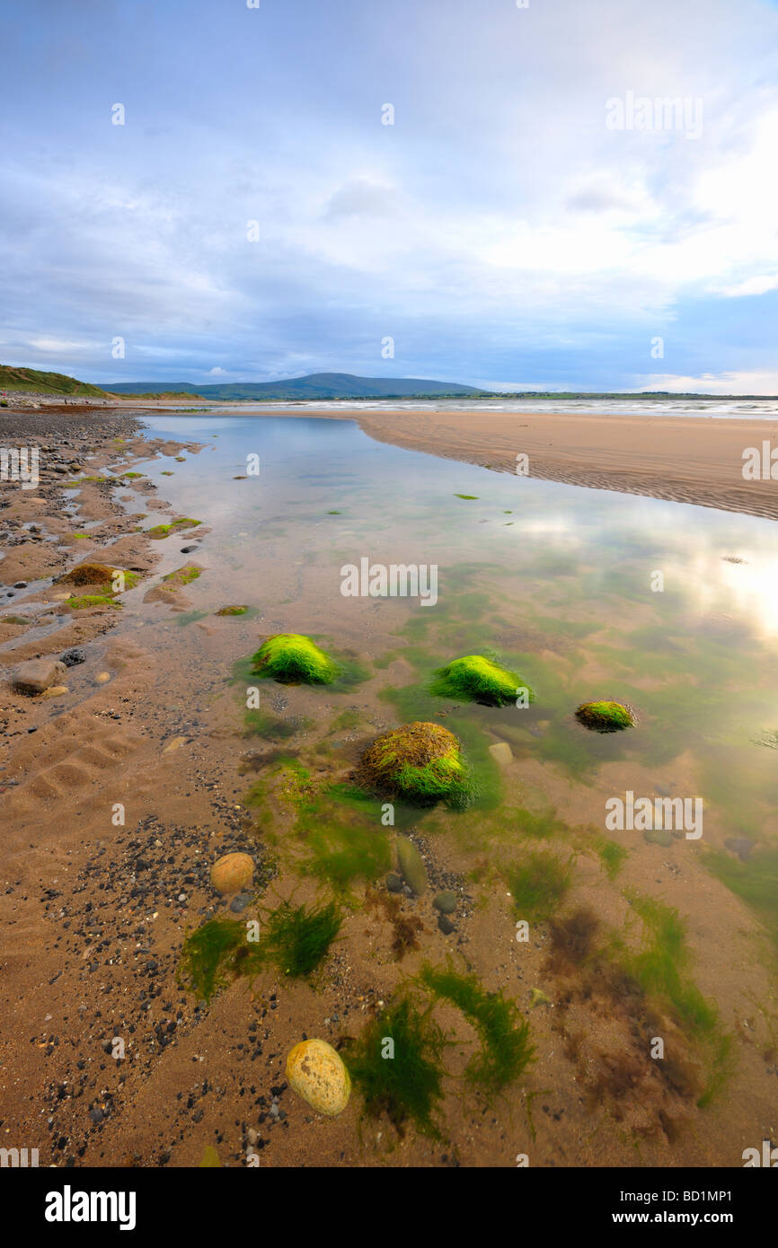 evening light illuminates beach and shoreline at Strandhill, Co.Sligo ...