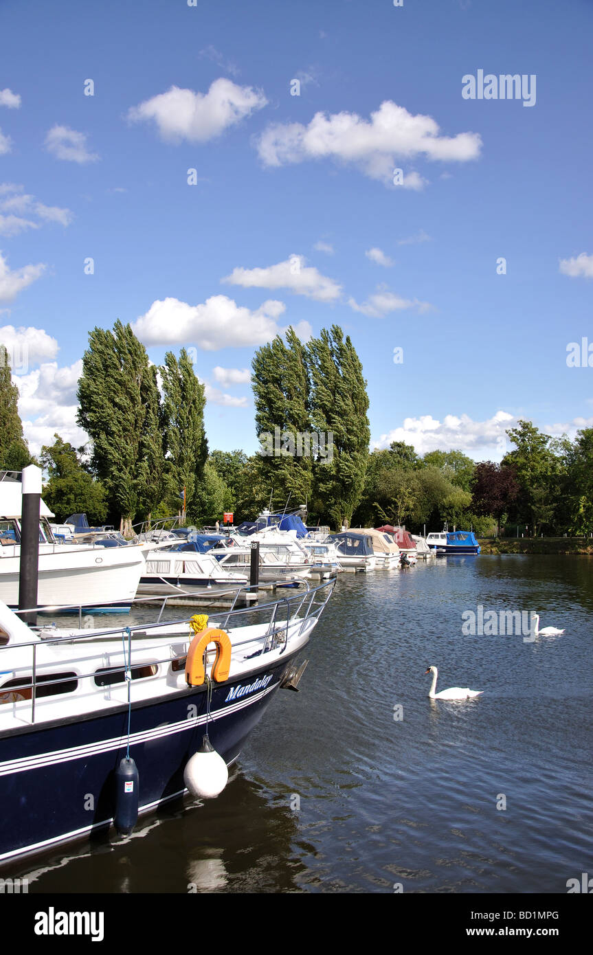 Shepperton Marina, Shepperton, Surrey, England, United Kingdom Stock ...