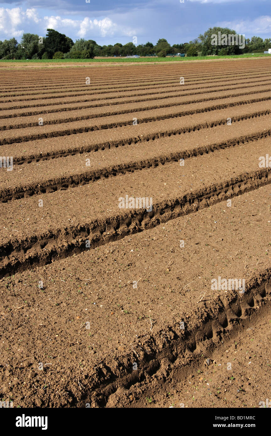 Ploughed field hi-res stock photography and images - Alamy