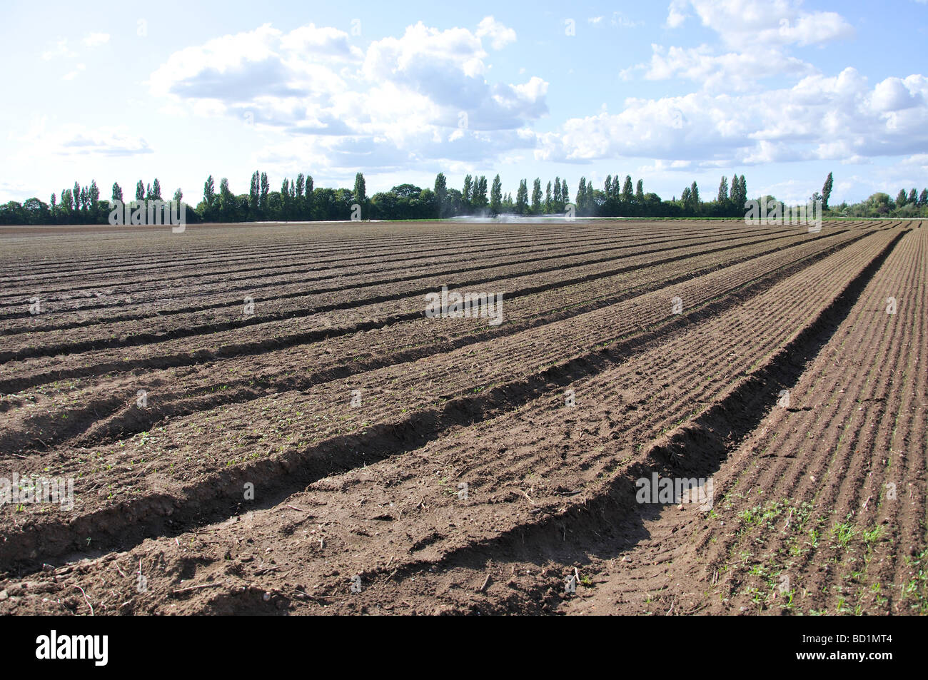 Ploughed field hi-res stock photography and images - Alamy