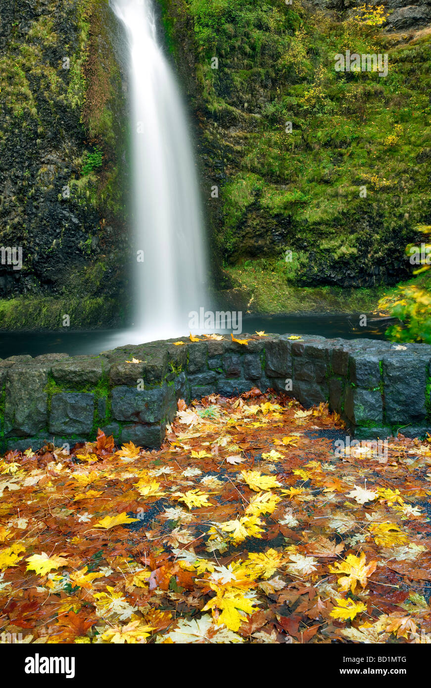 Horsetail falls and rock path with fall colored maple leaves Columbia ...