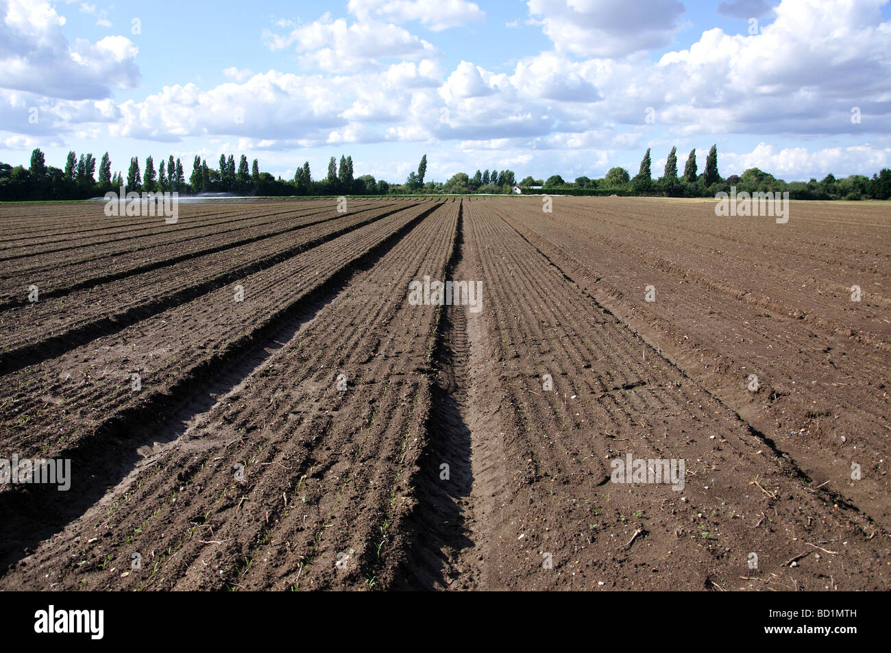 Ploughed field hi-res stock photography and images - Alamy