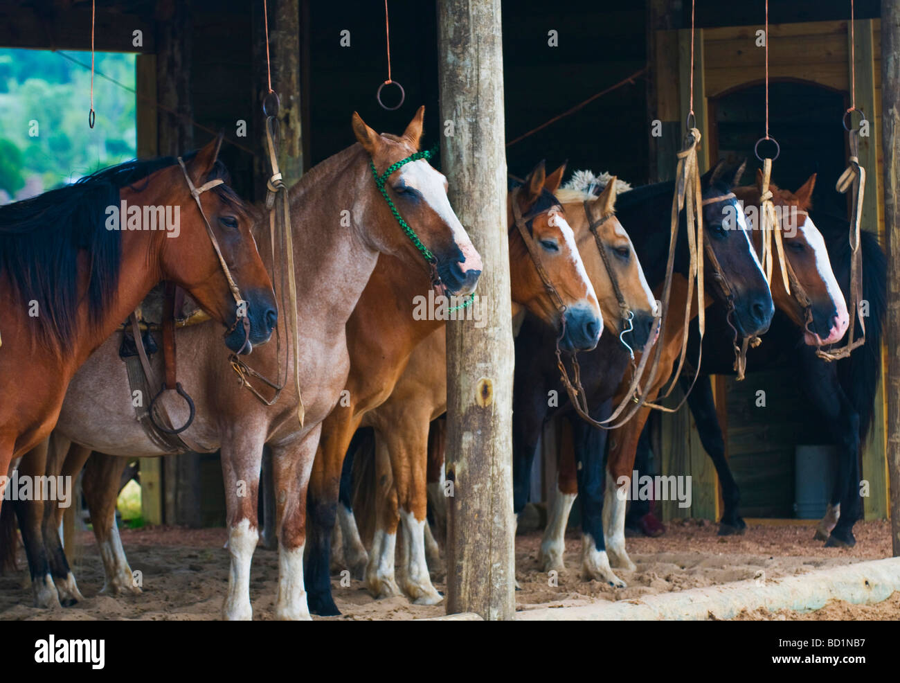 Uruguay countryside ranch hi-res stock photography and images - Alamy