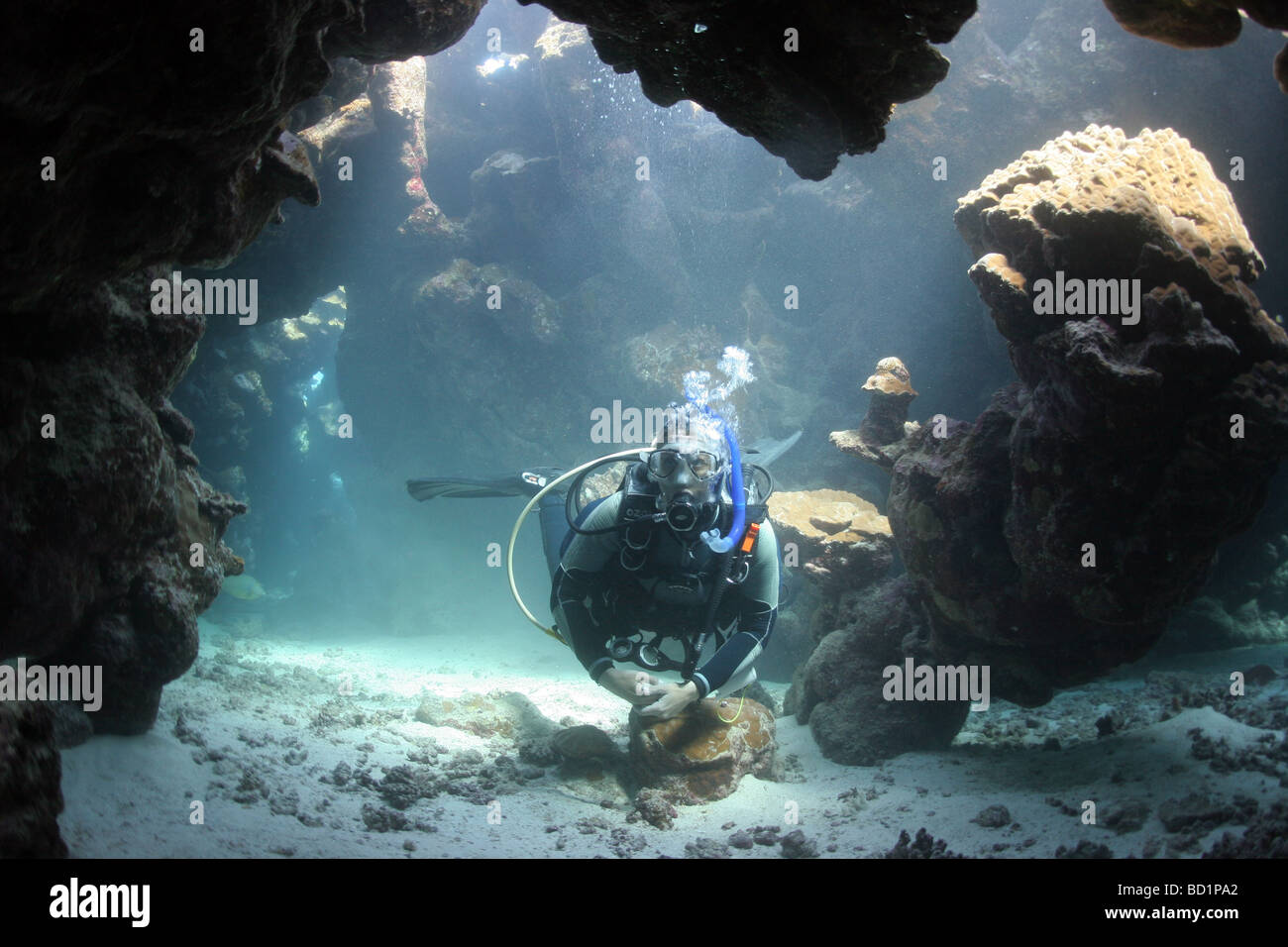 Deep blue ocean floor reef cave hi-res stock photography and images - Alamy
