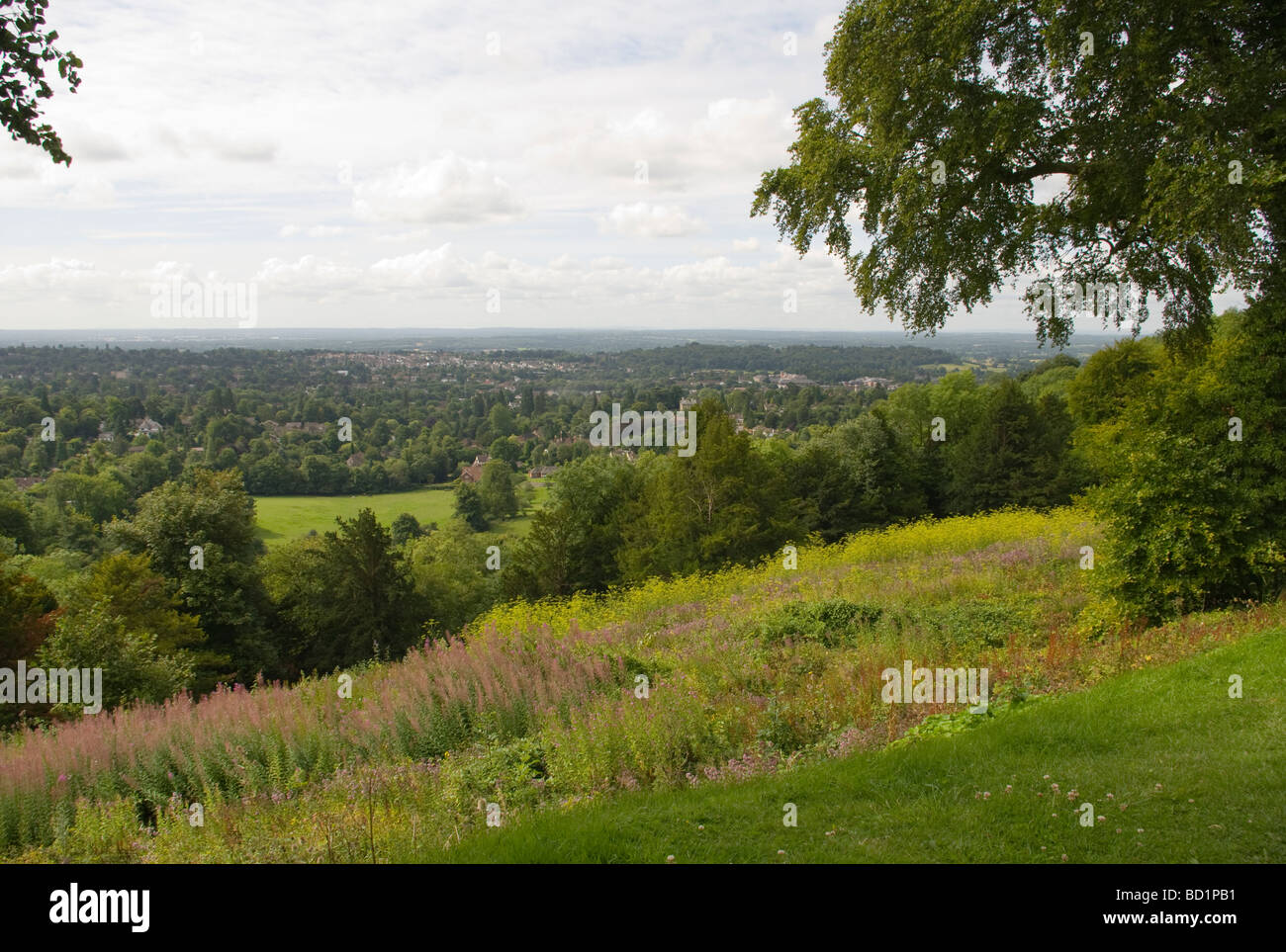 Surrey Countryside High Resolution Stock Photography and Images - Alamy