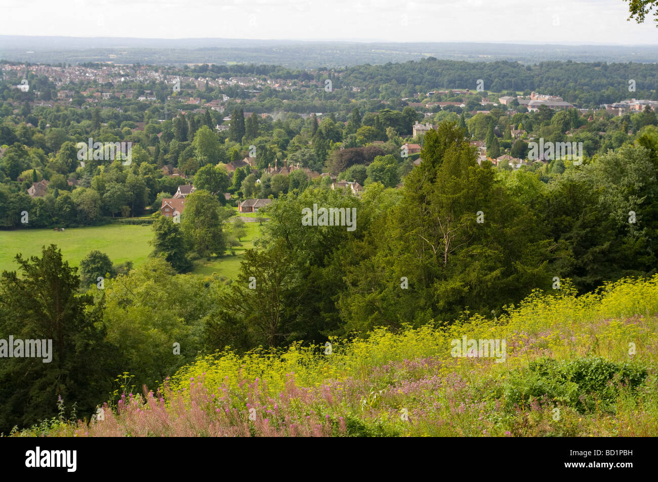The Town Of Reigate Surrey England As Seen from Reigate Hill Stock ...