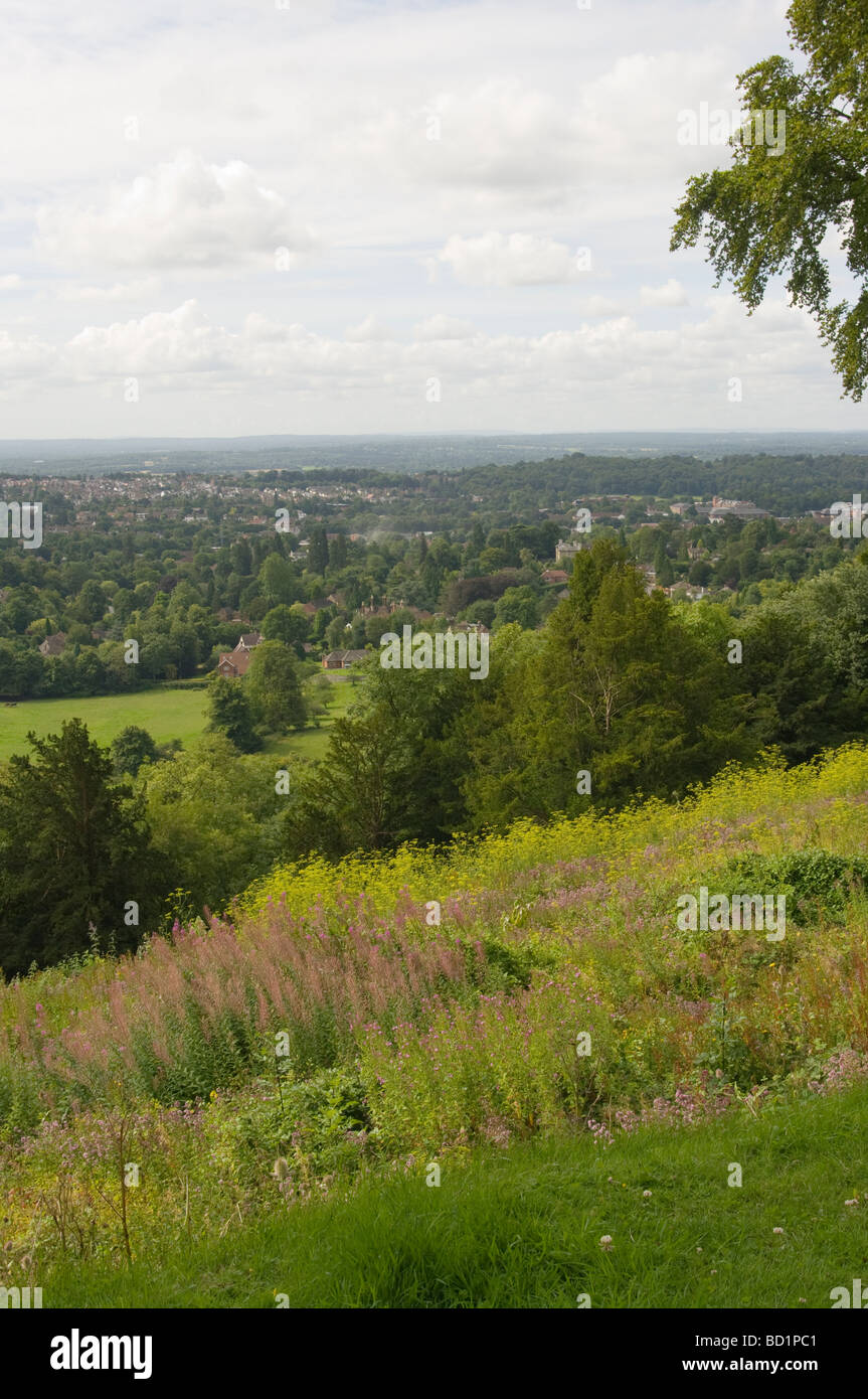 Surrey countryside hi-res stock photography and images - Alamy