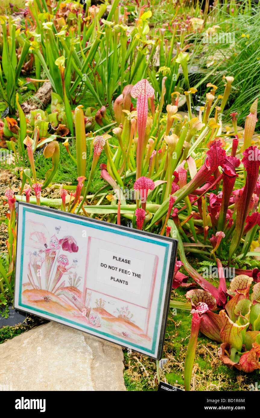 Cambridge university botanical gardens hi-res stock photography and ...