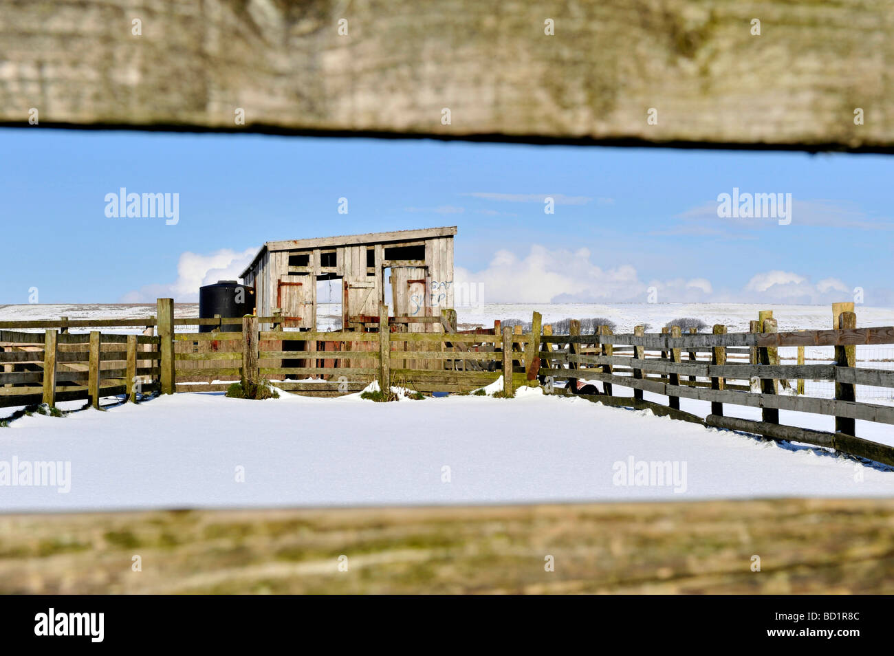 Empty sheep pens hi-res stock photography and images - Alamy