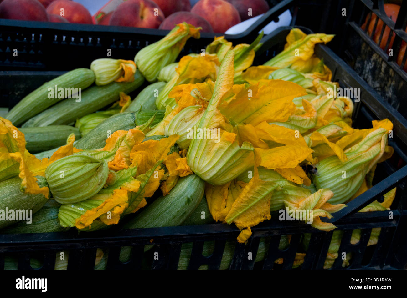 Squash with Blossoms Stock Photo - Alamy