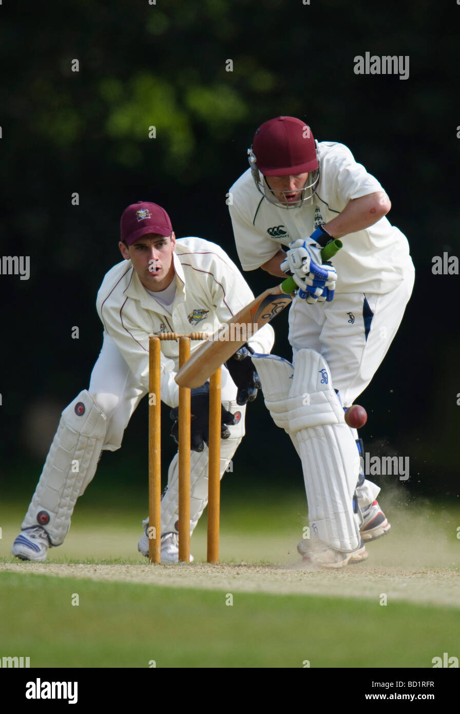 Batsman in action Stock Photo - Alamy