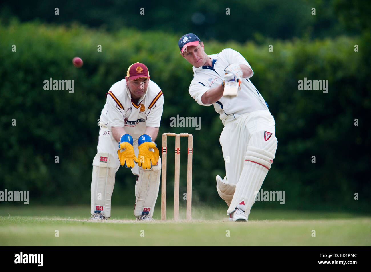 Batsman in action Stock Photo - Alamy