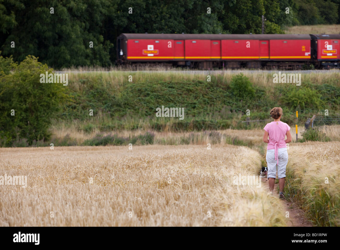 Field train uk hi-res stock photography and images - Alamy