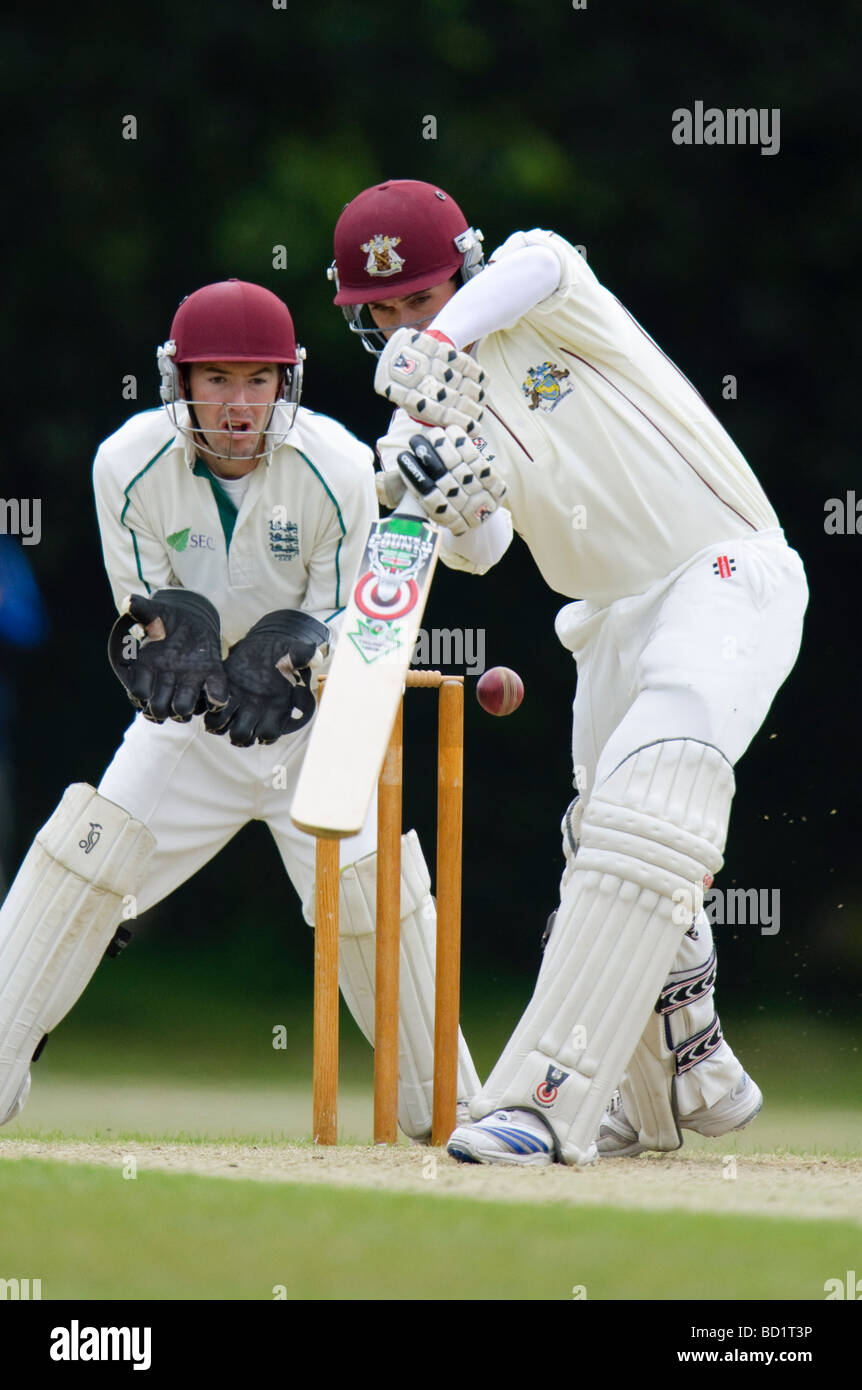 Batsman in action Stock Photo - Alamy
