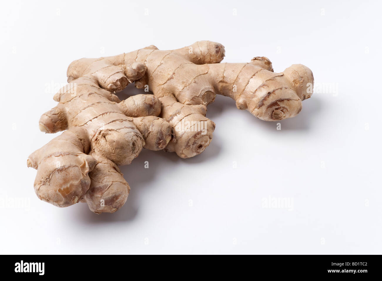 Zingiber hi-res stock photography and images - Alamy